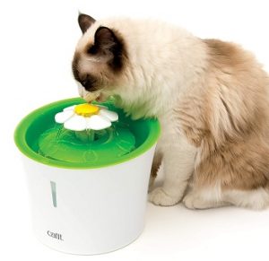 7 Best Cat Water Fountains Reviewed For 2026 - Obey My Cat