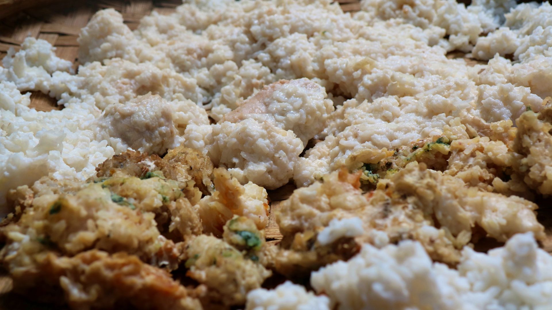 Understanding Staleness in Cat Food: A Guide - Obey My Cat